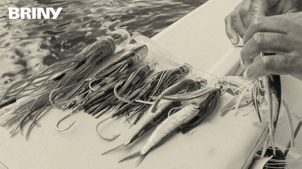 The Briny Checklist for a Day On the Water – BRINY